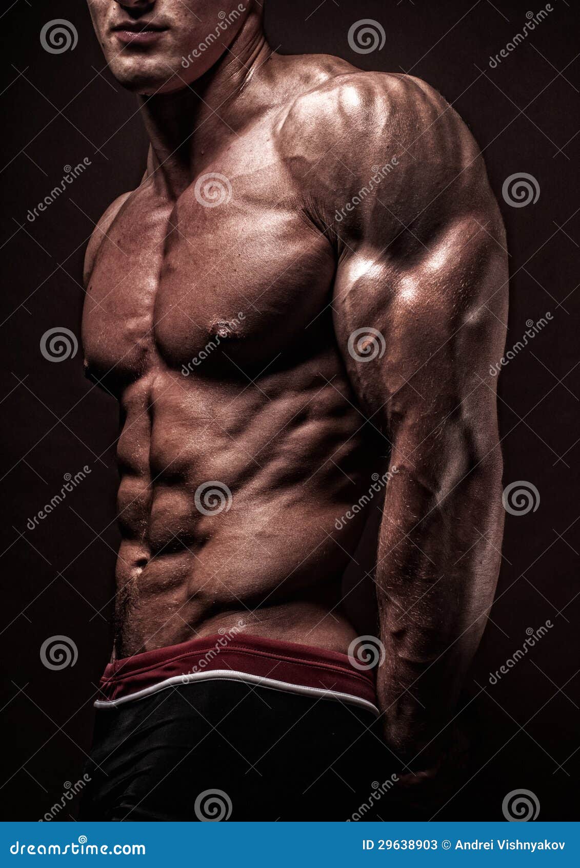 Male arms stock image. Image of torso, triceps, muscle - 29638903