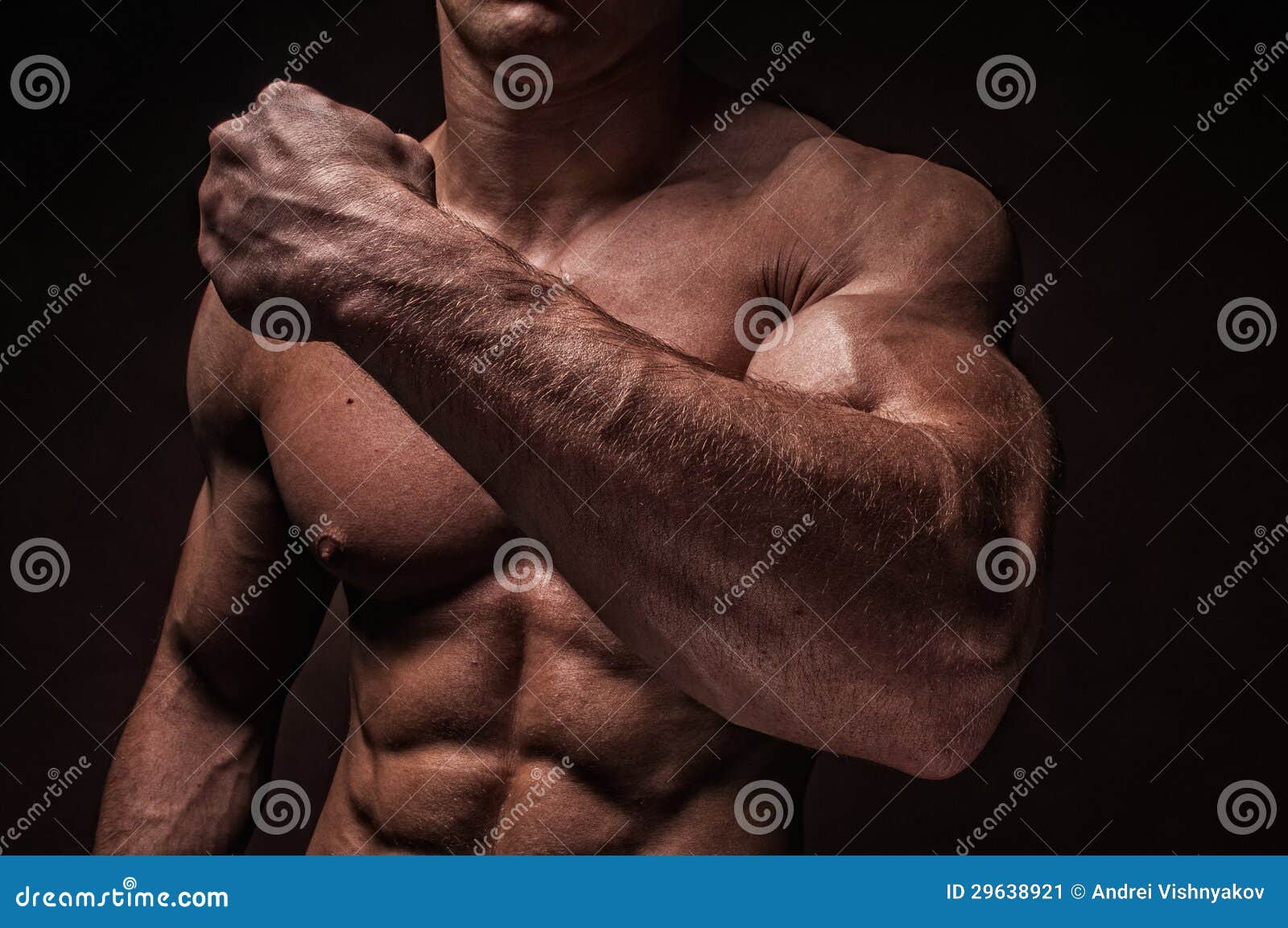 Male arms stock image. Image of muscle, young, sports - 29638921