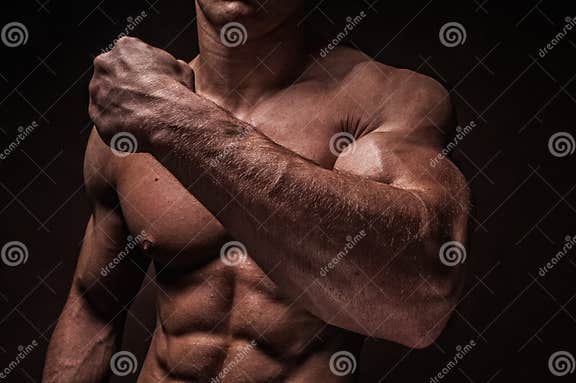 Male arms stock image. Image of muscle, young, sports - 29638921