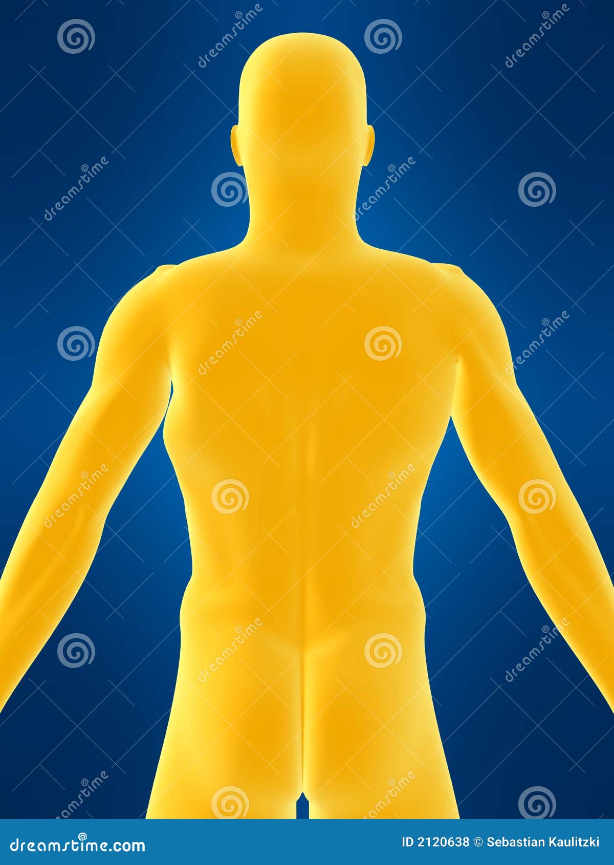 Male back stock illustration. Illustration of medically - 2120638