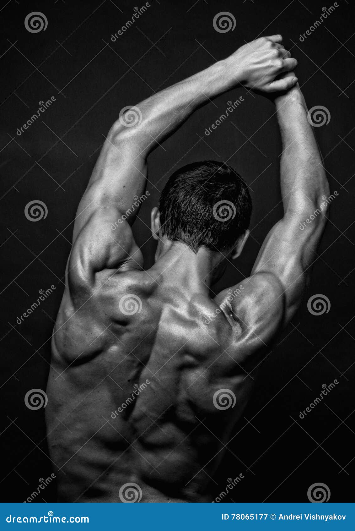 Male back stock image. Image of male, healthy, back, handsome - 78065177