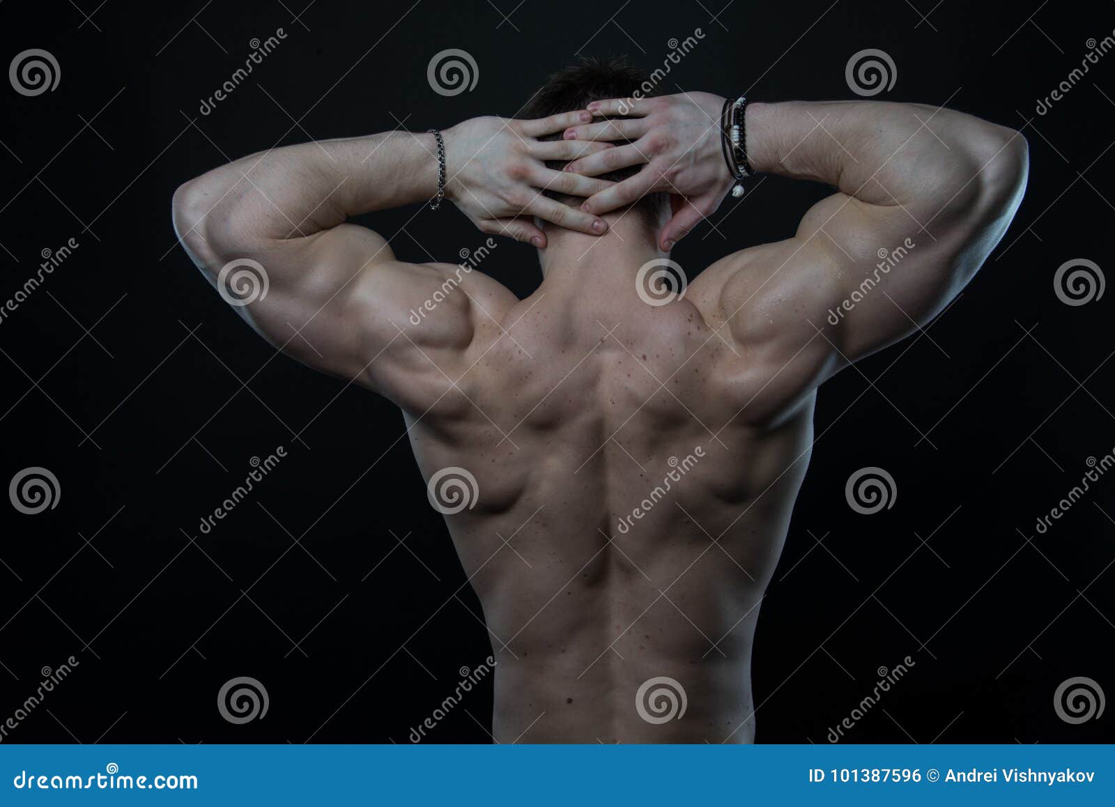 Male back stock photo. Image of biceps, young, handsome - 101387596
