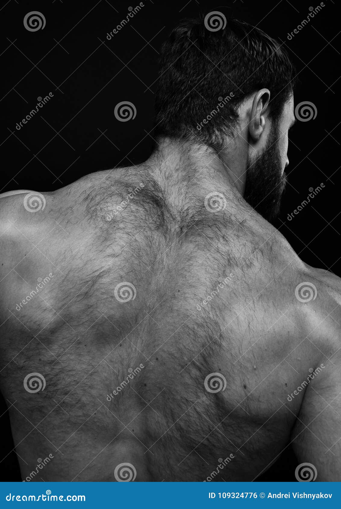 Male back stock photo. Image of fitness, muscular, model - 109324776