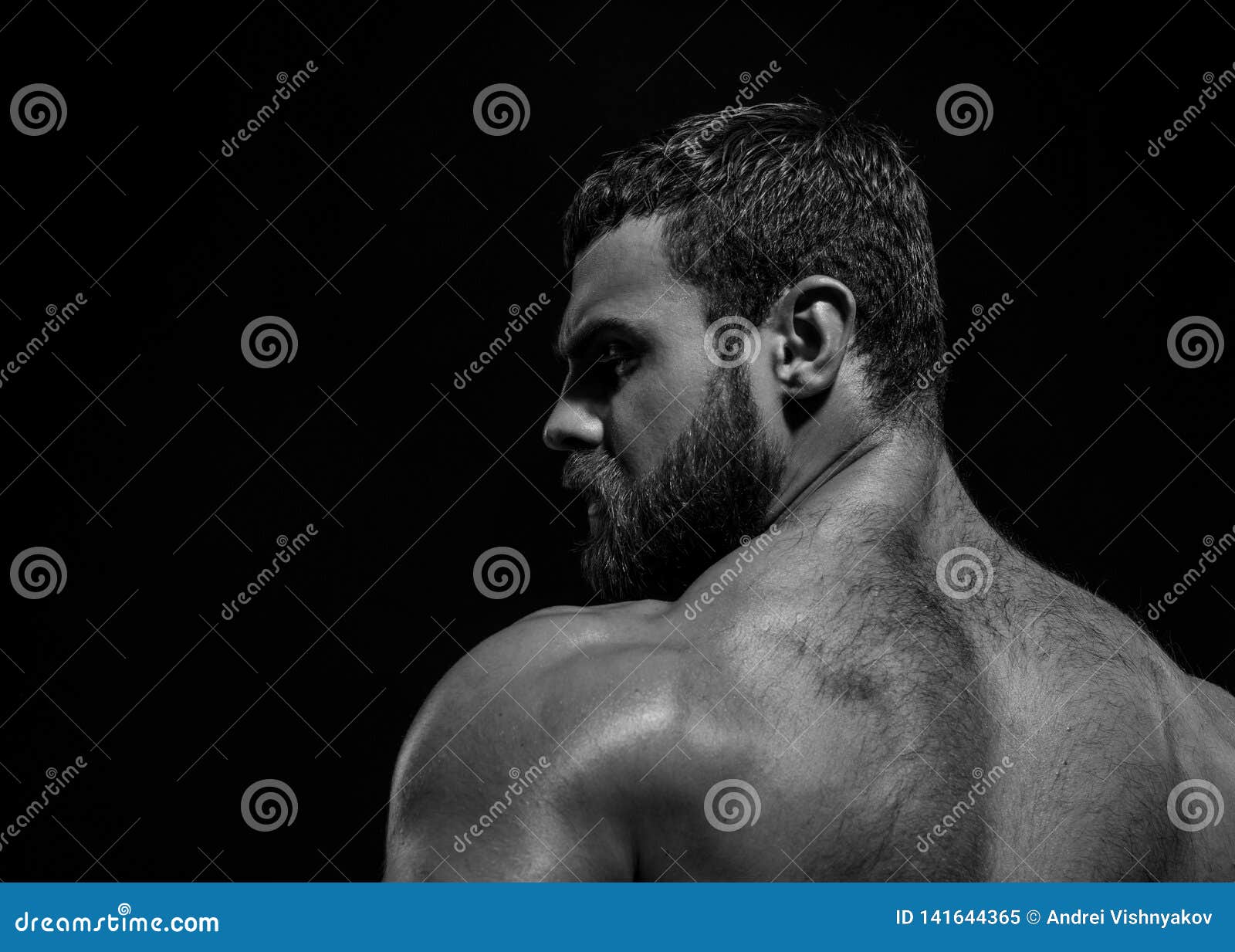 Male back stock image. Image of muscle, young, athlete - 141644365