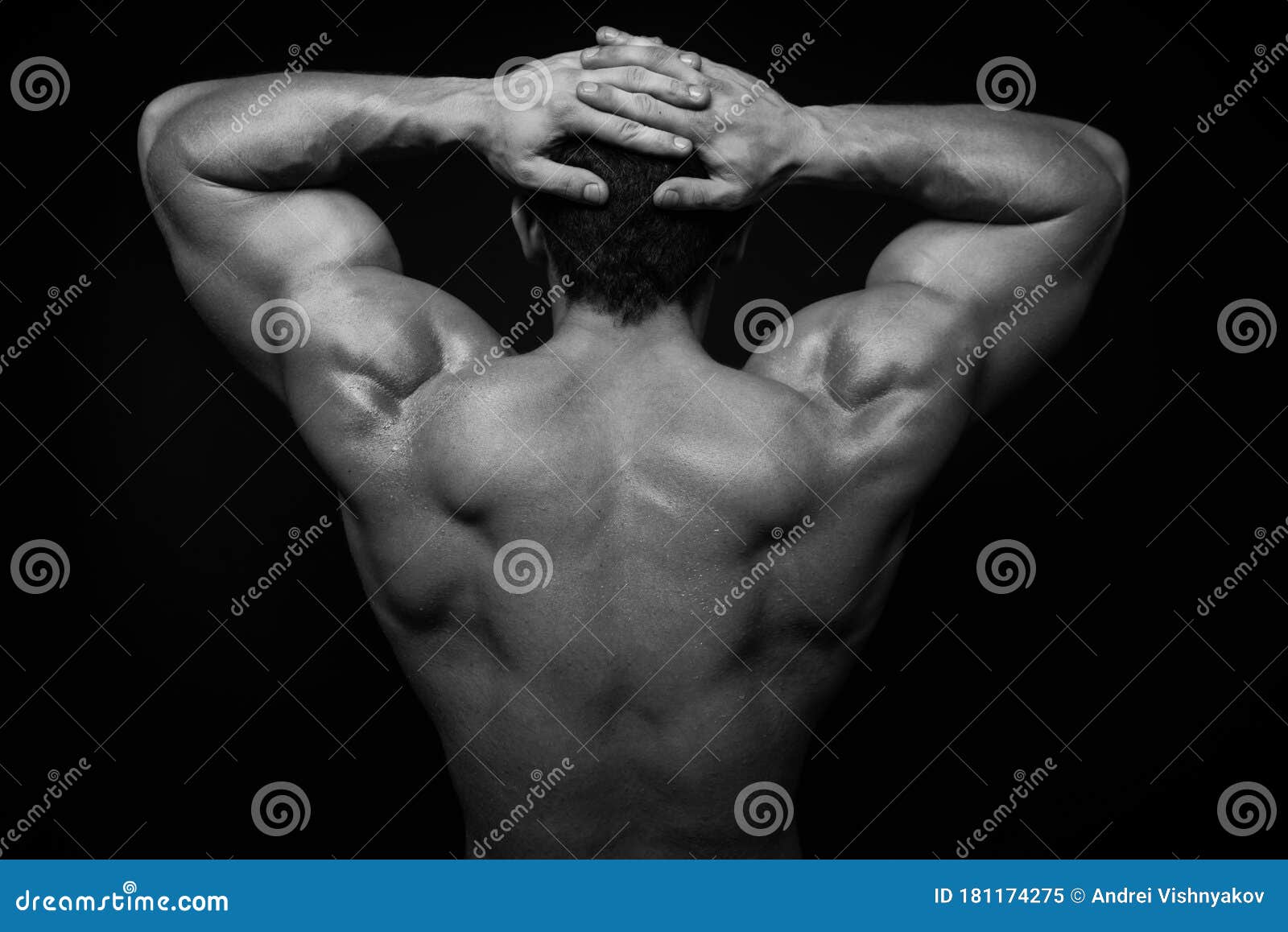 Male back stock image. Image of muscular, young, strong - 181174275