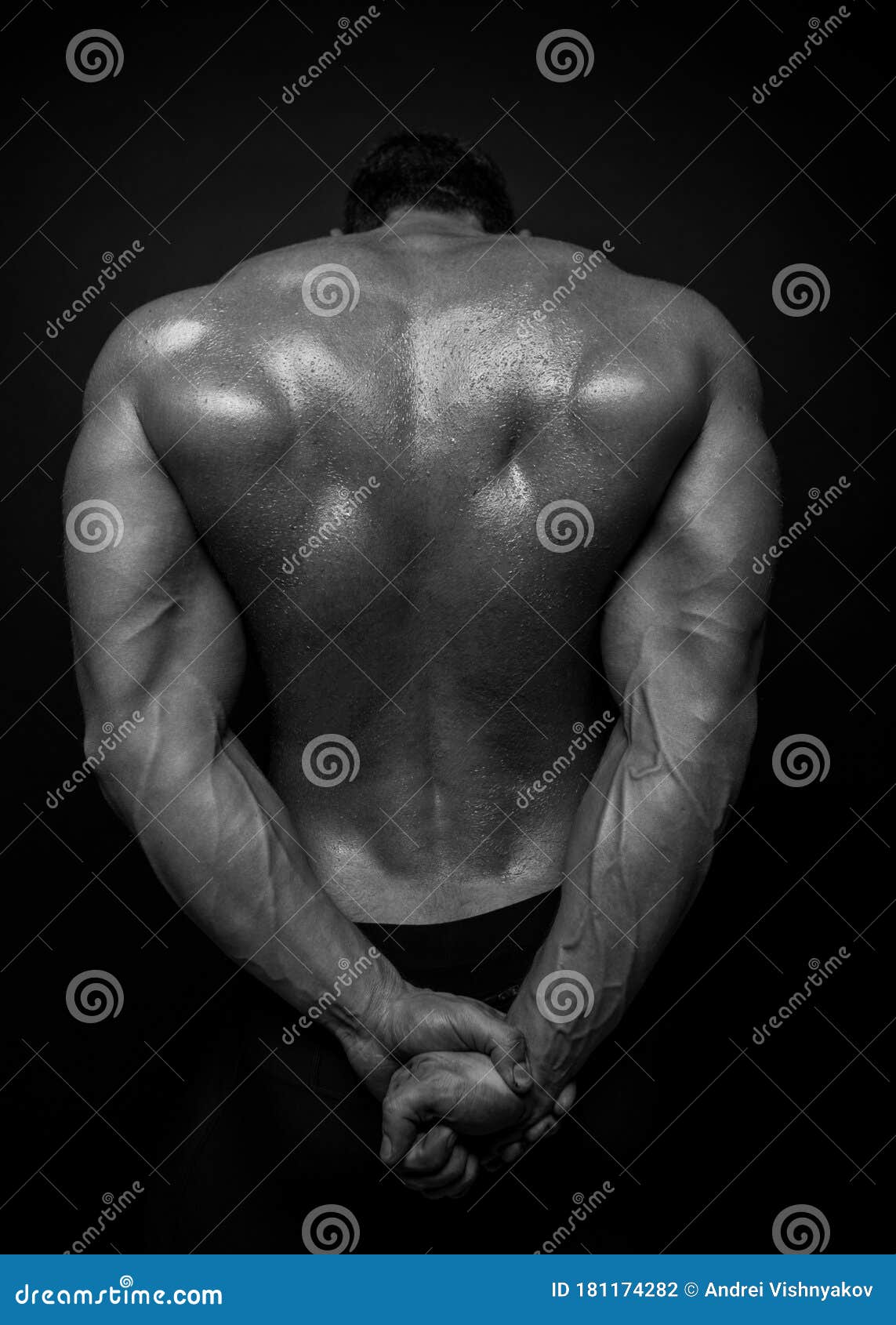 Male back stock photo. Image of athlete, model, male - 181174282