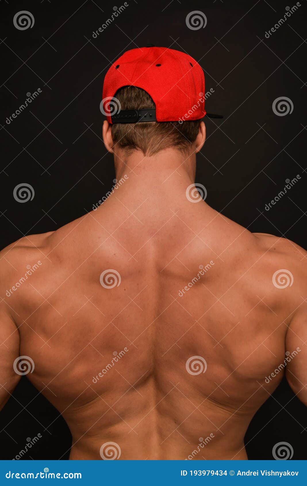 Male back stock photo. Image of torso, muscle, masculinity - 193979434