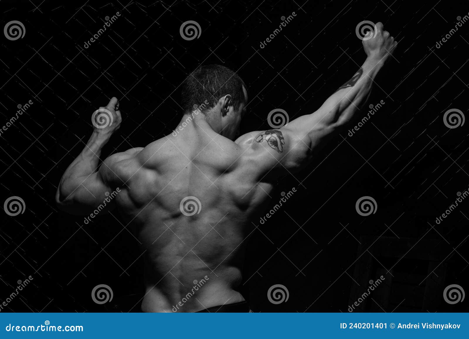 Male back stock image. Image of biceps, masculinity - 240201401