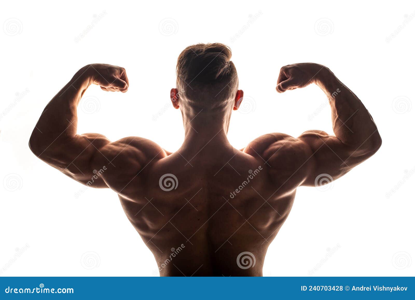 Male back stock photo. Image of strength, sportsmen - 240703428