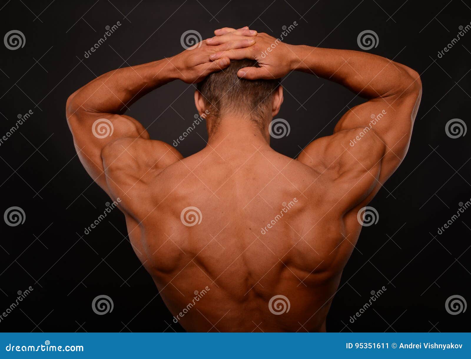 Male back stock image. Image of strong, fitness, healthy - 95351611