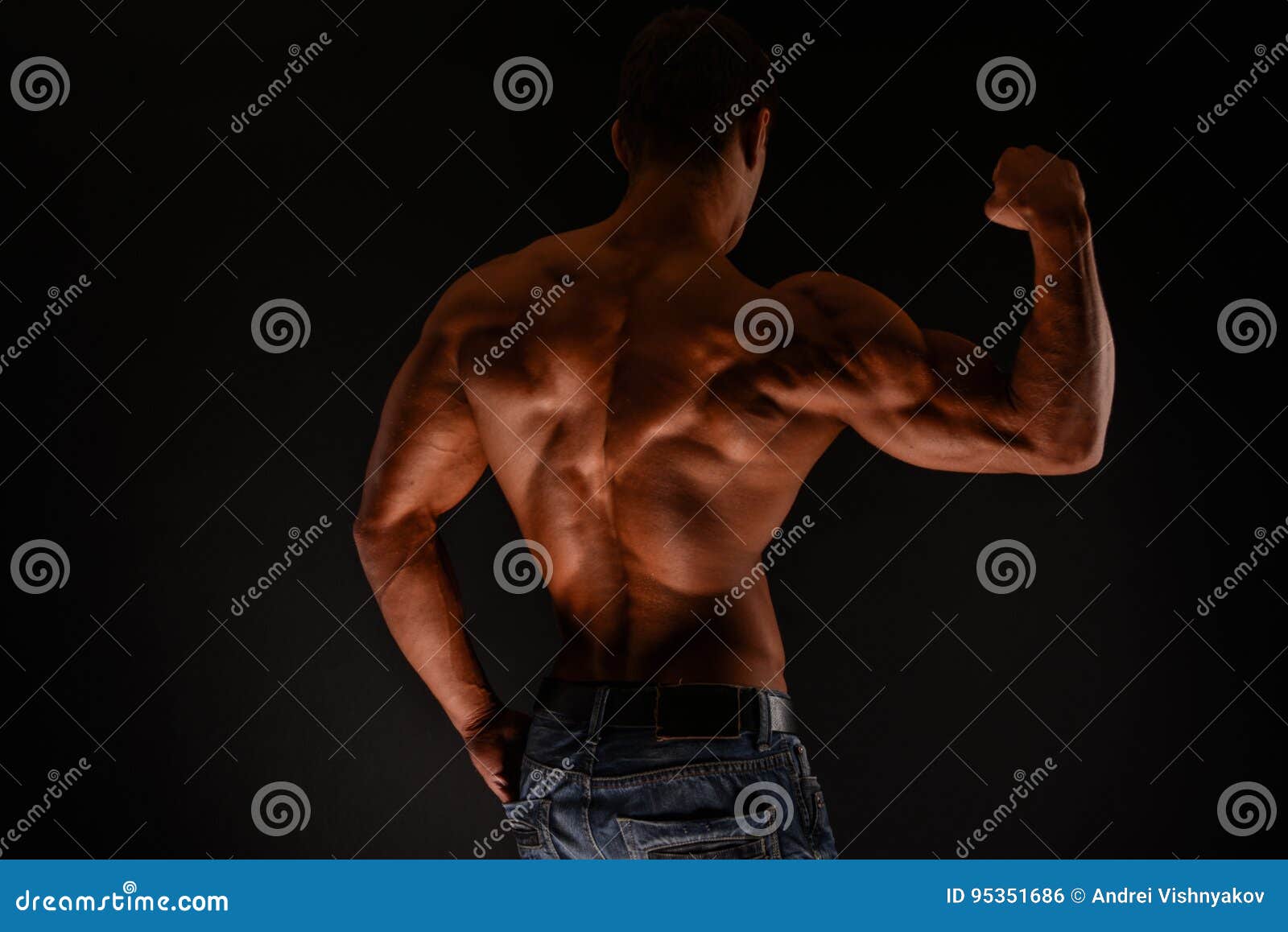 Male back stock photo. Image of sportsmen, back, muscle - 95351686