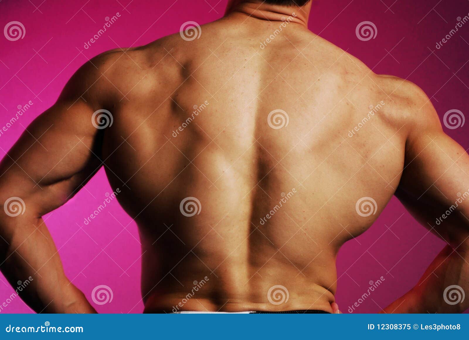 V Shaped Back Muscles