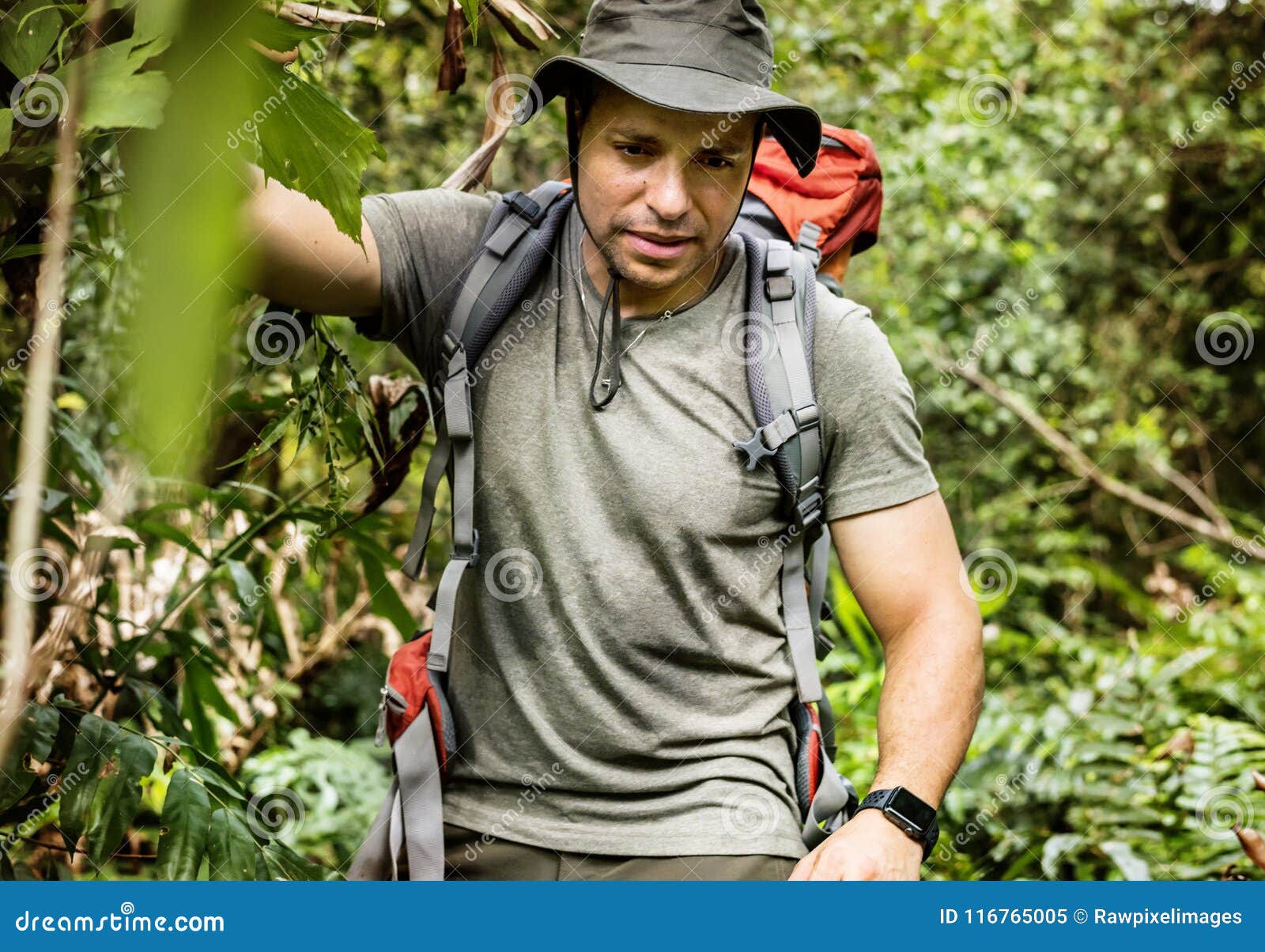 Male Backpacker Trekking in the Forest Stock Image - Image of french ...