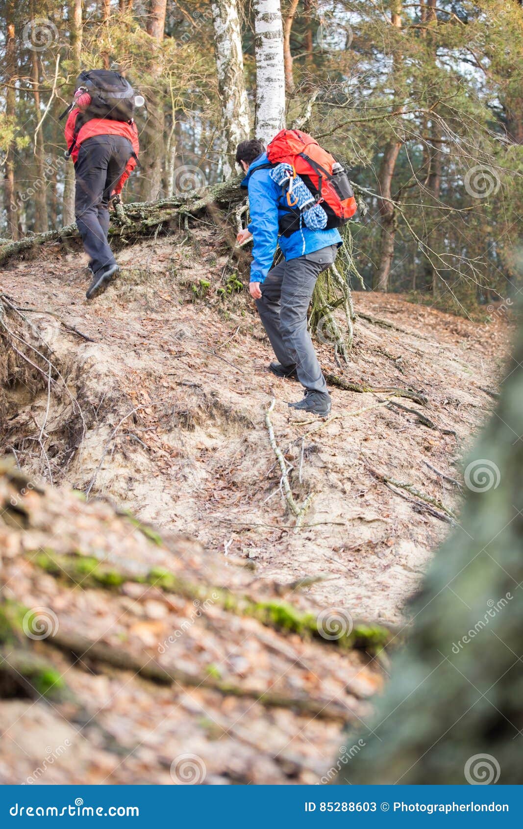 Male Backpackers Hiking in Forest Stock Image - Image of ecotourism ...