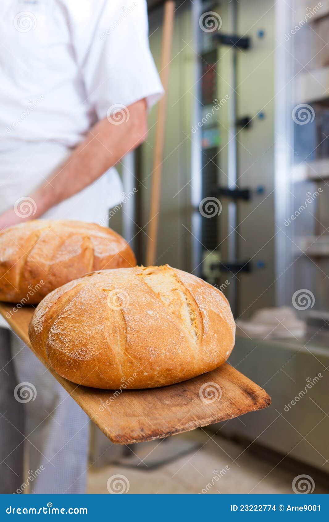 Male baker baking bread stock photo. Image of warm, bakehouse - 23222774