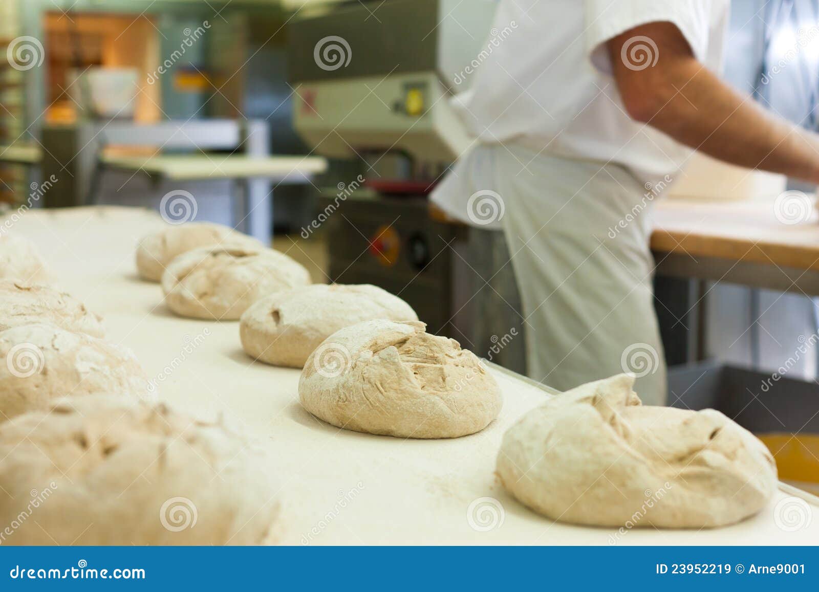 Male baker baking bread stock image. Image of kneading - 23952219