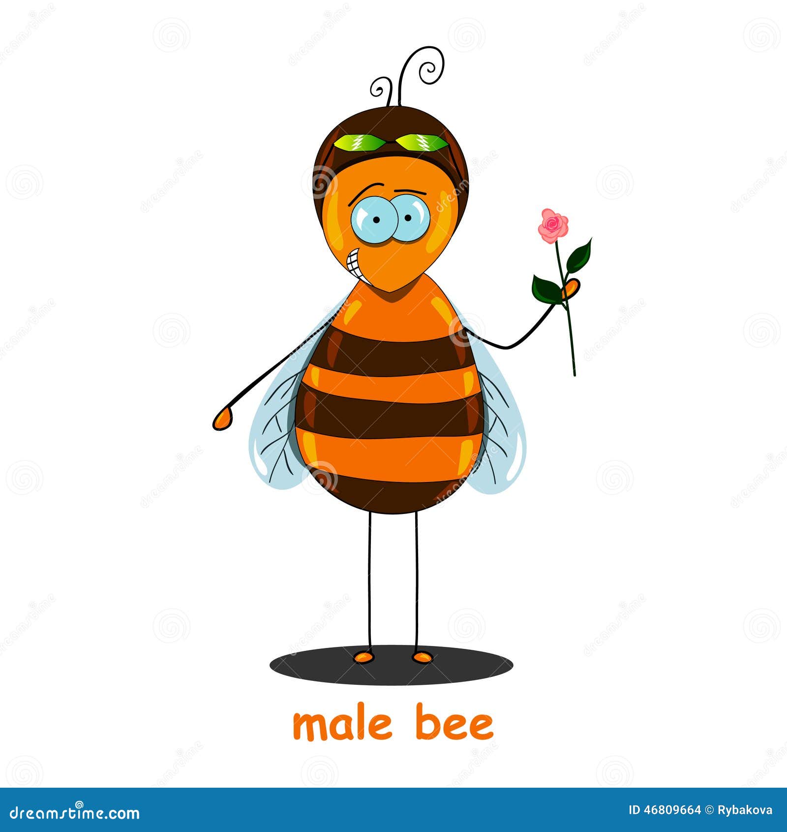 Male bee stock illustration. Illustration of nature, heart - 46809664
