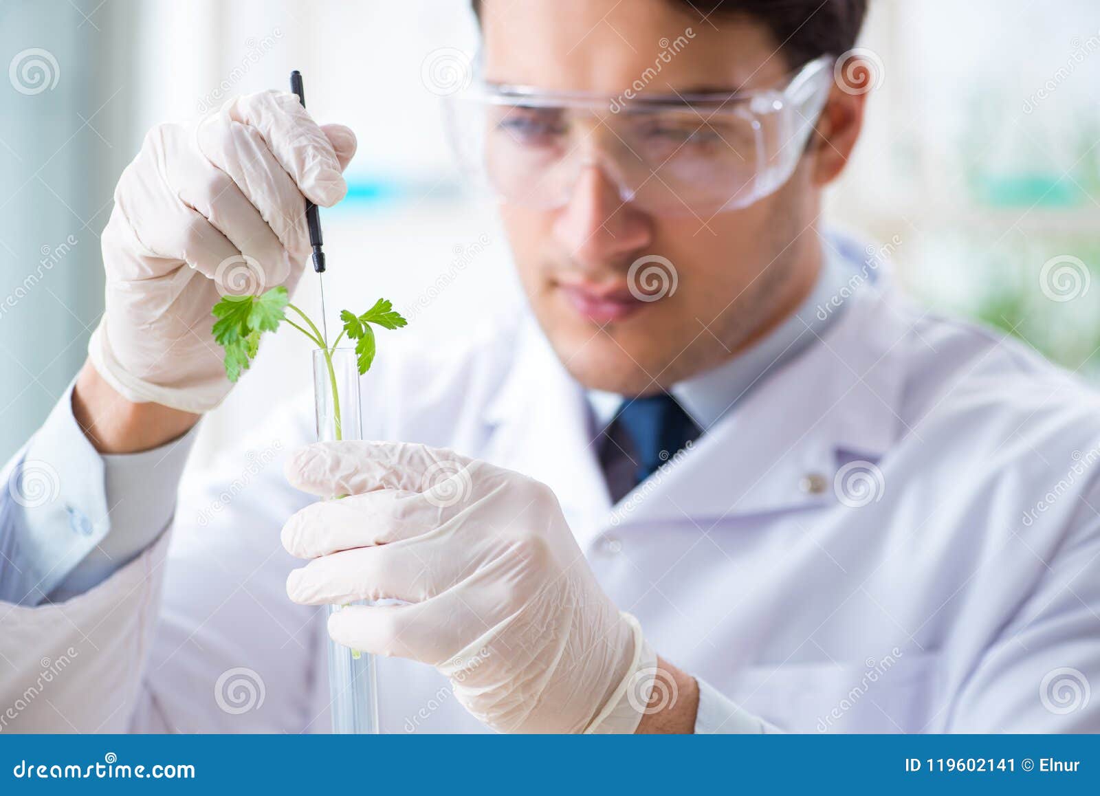 The Male Biochemist Working in the Lab on Plants Stock Image - Image of ...