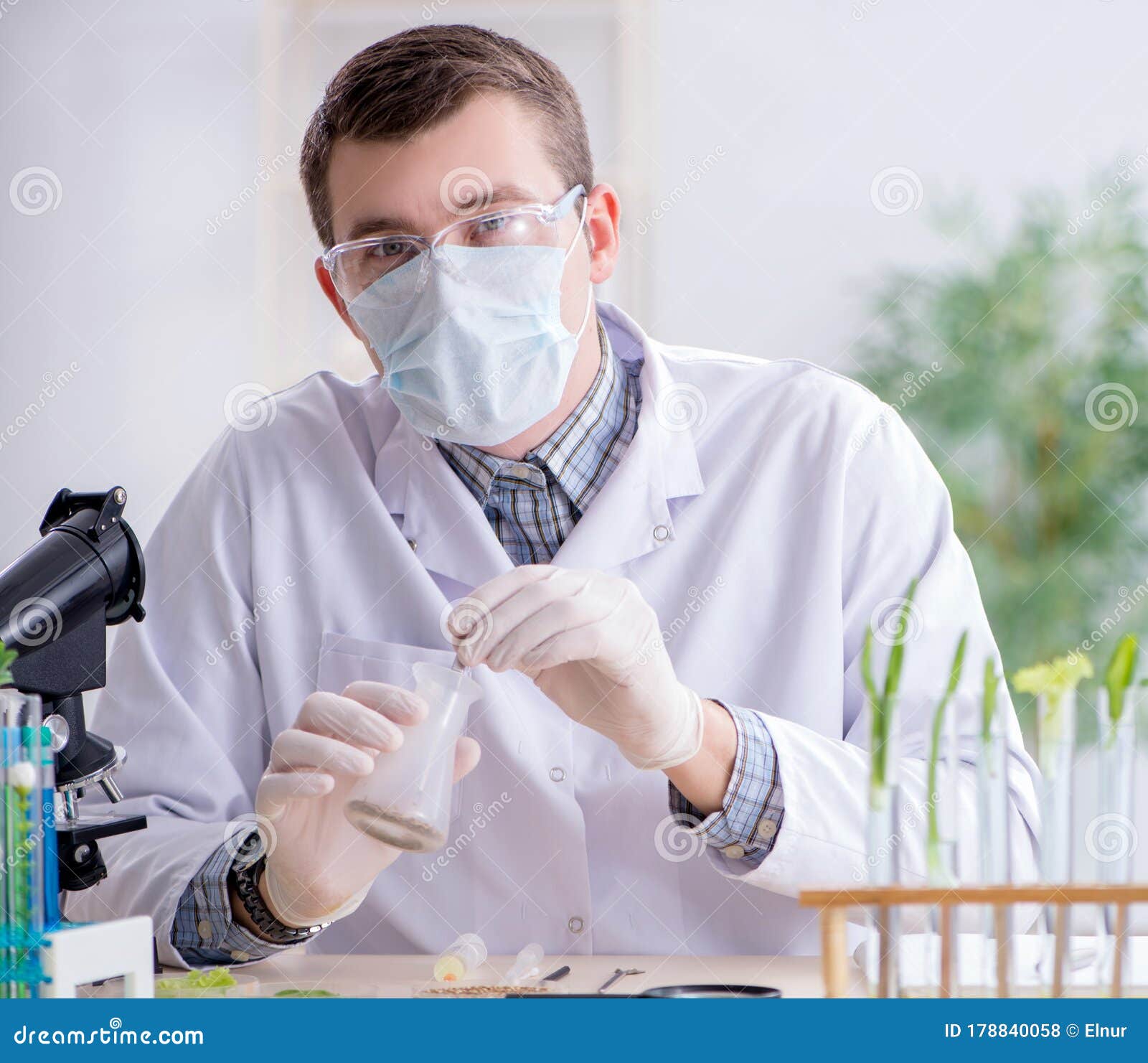 Male Biochemist Working in the Lab on Plants Stock Photo - Image of ...