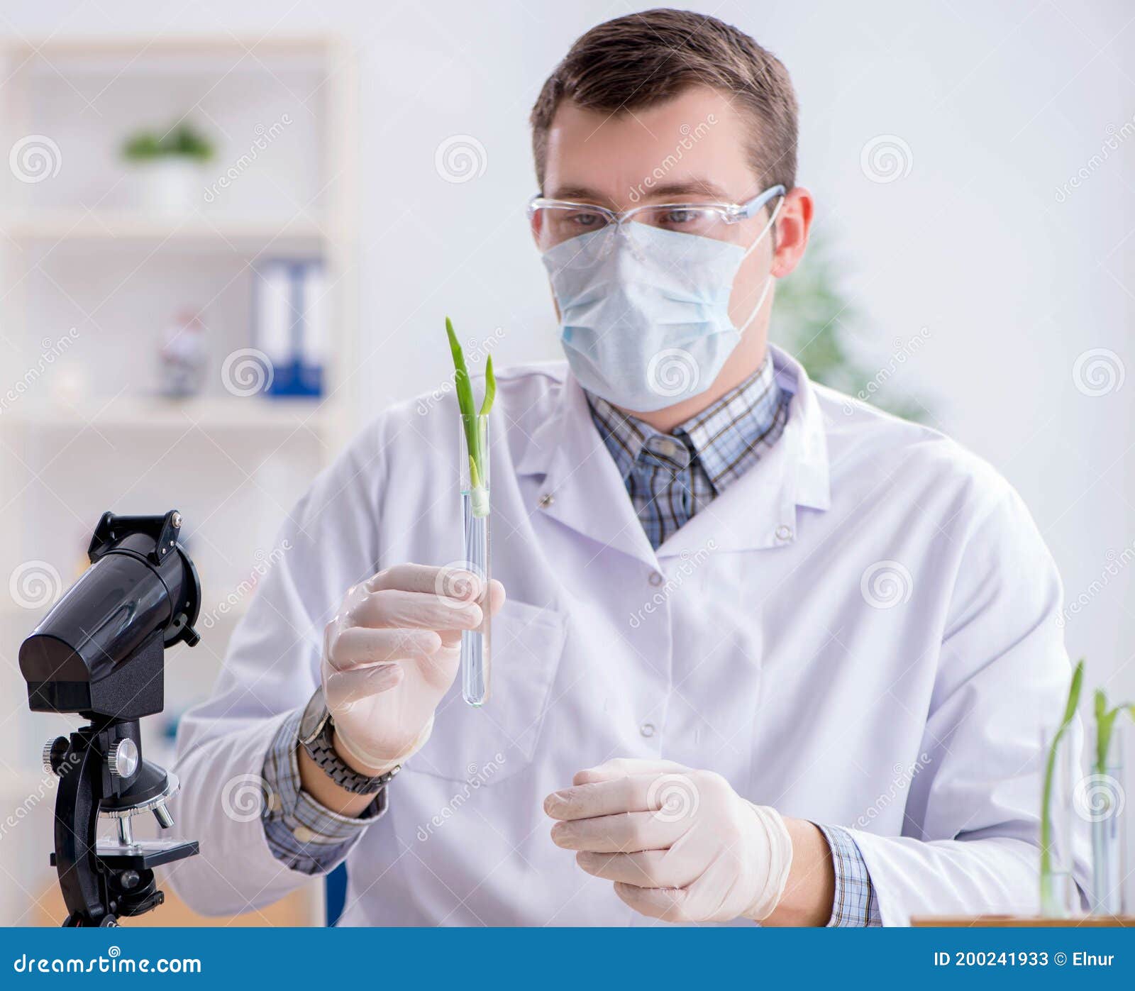 Male Biochemist Working in the Lab on Plants Stock Image - Image of ...