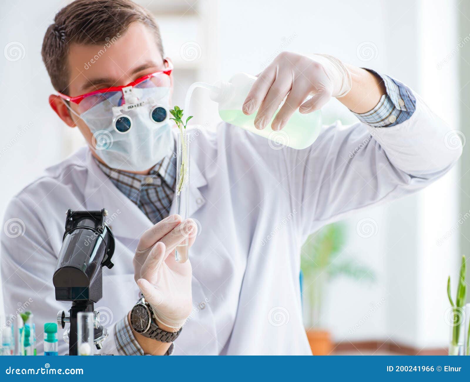 Male Biochemist Working in the Lab on Plants Stock Photo - Image of ...