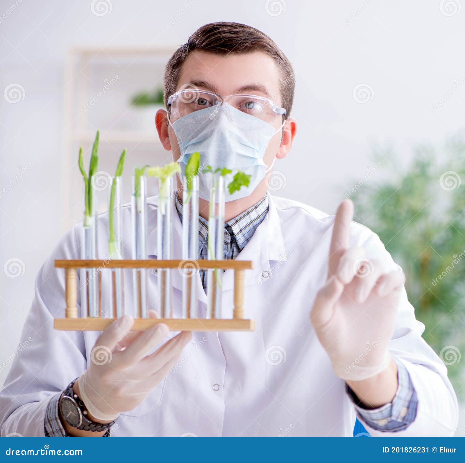 Male Biochemist Working in the Lab on Plants Stock Image - Image of ...