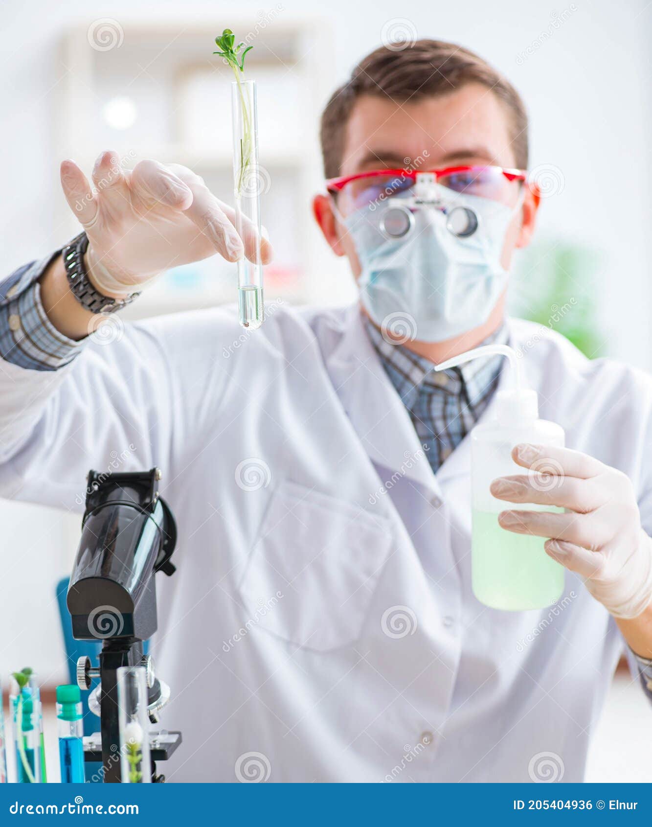 Male Biochemist Working in the Lab on Plants Stock Photo - Image of ...