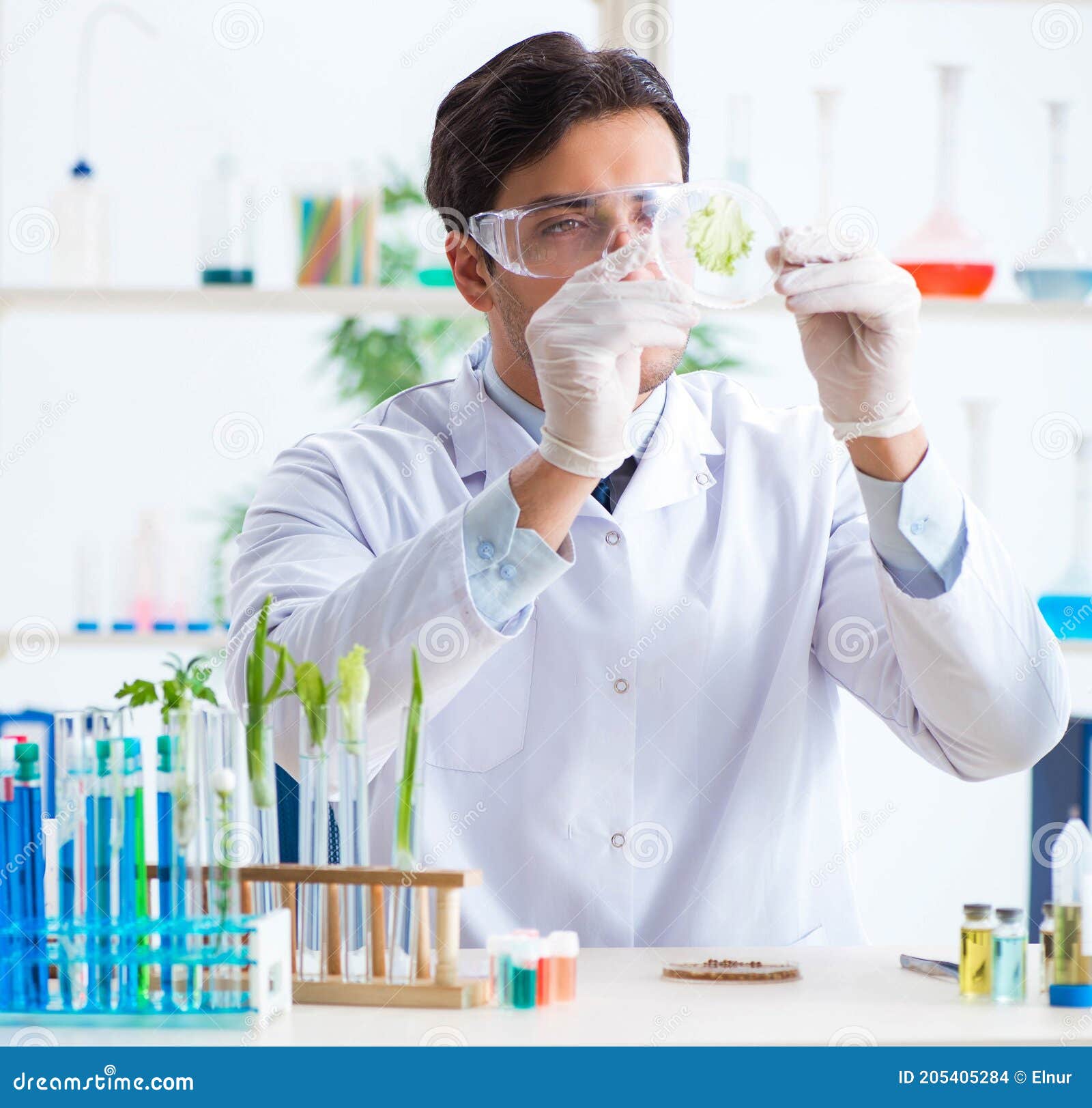 Male Biochemist Working in the Lab on Plants Stock Photo - Image of ...