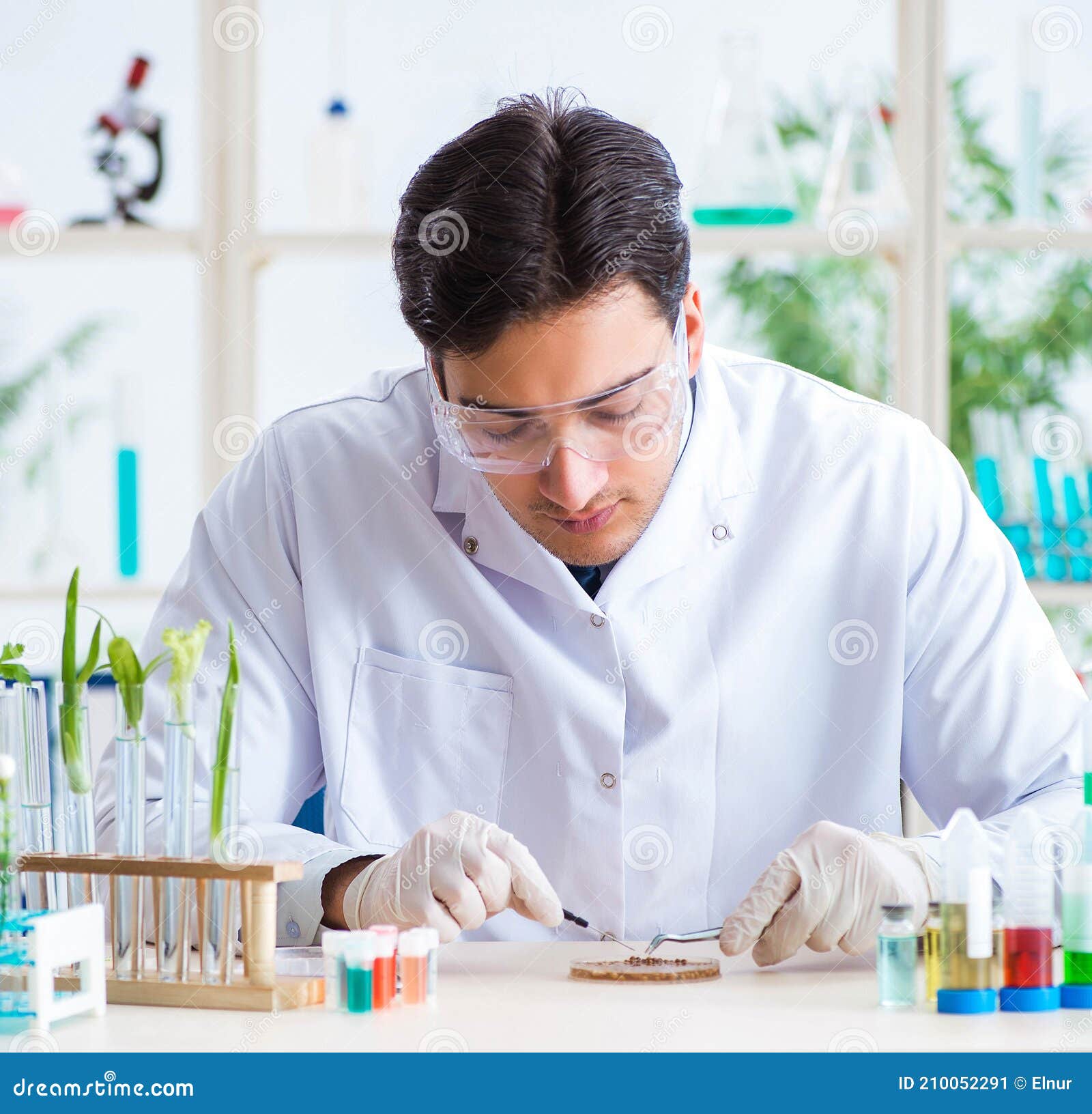 Male Biochemist Working in the Lab on Plants Stock Image - Image of ...
