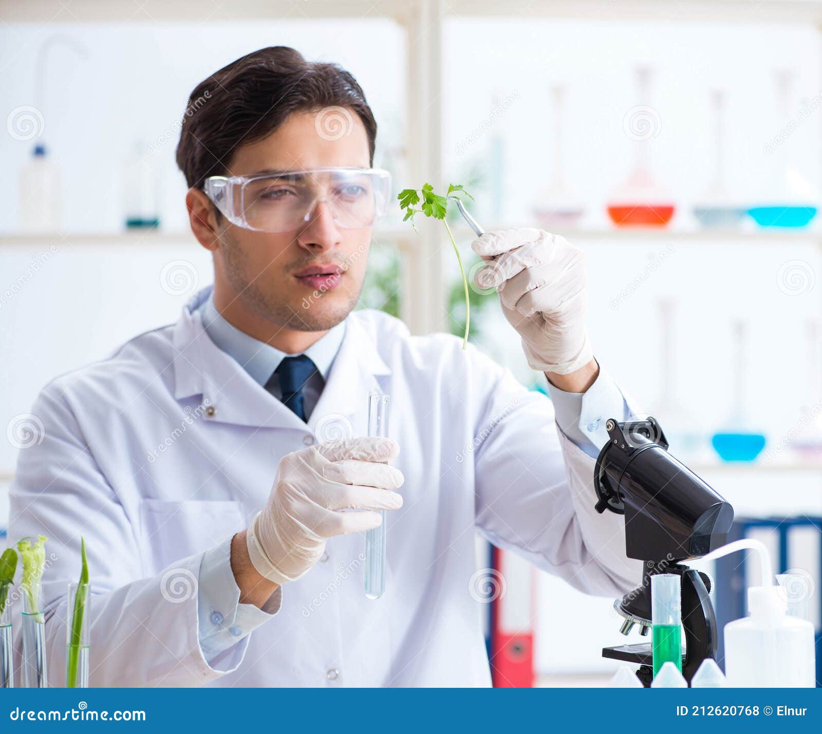 Male Biochemist Working in the Lab on Plants Stock Photo - Image of ...