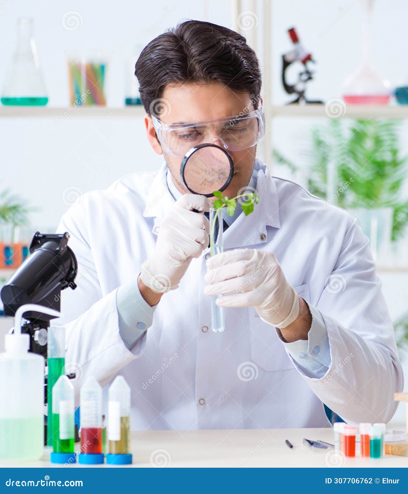 Male Biochemist Working in the Lab on Plants Stock Photo - Image of ...