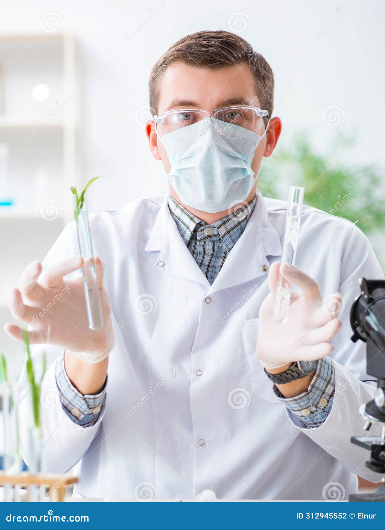 Male Biochemist Working in the Lab on Plants Stock Photo - Image of ...