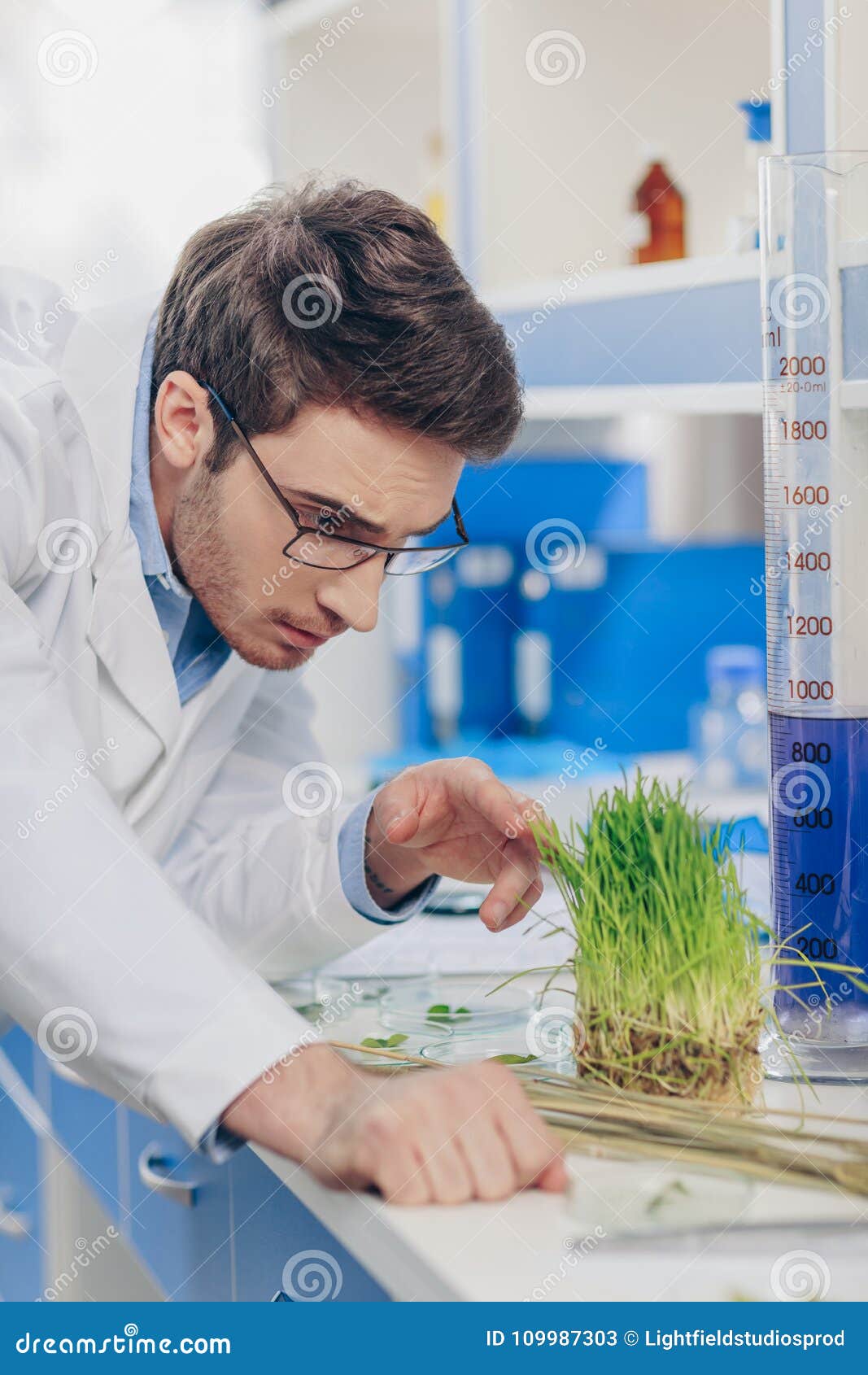 Biologist Working with Grass in Laboratory Stock Image - Image of ...
