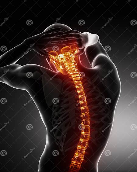 Male Body Backbone Scan stock illustration. Illustration of adult ...