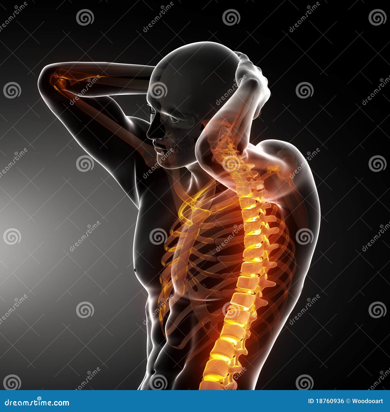 Backbone Cartoons, Illustrations & Vector Stock Images - 12960 Pictures ...
