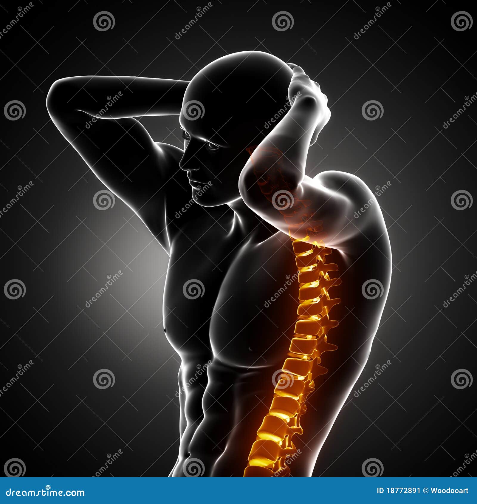 Male Body Backbone Scan stock illustration. Illustration of anatomy ...