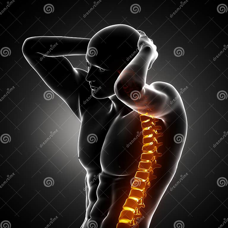 Male Body Backbone Scan stock illustration. Illustration of anatomy ...