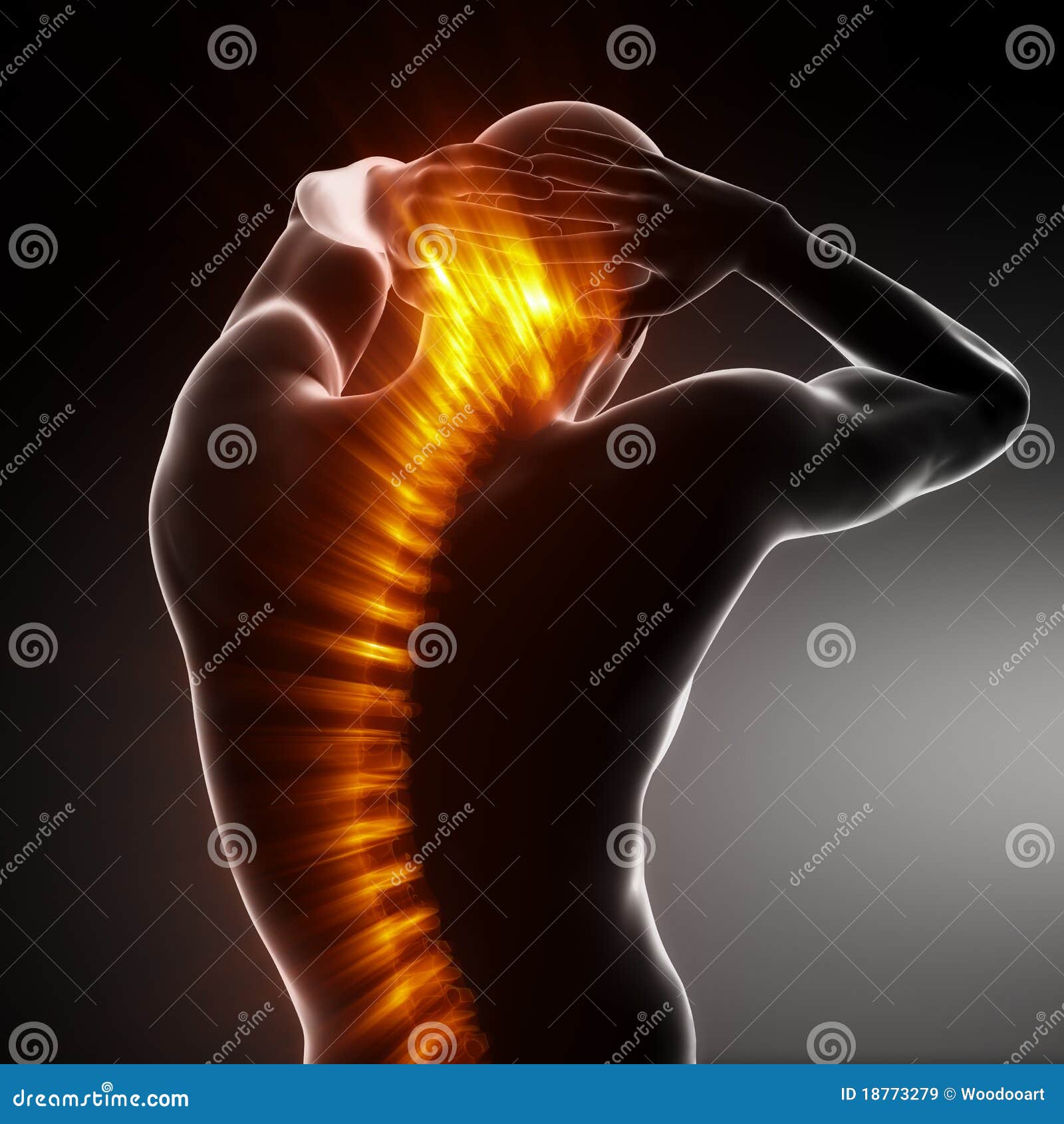 Male Body Backbone Scan stock illustration. Illustration of pain - 18773279