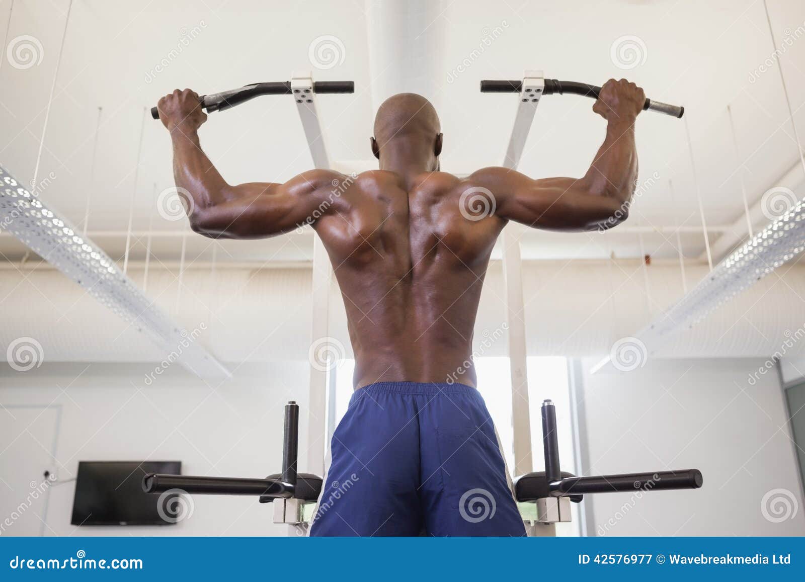 Male Body Builder Doing Pull Ups at the Gym Stock Image - Image of care ...