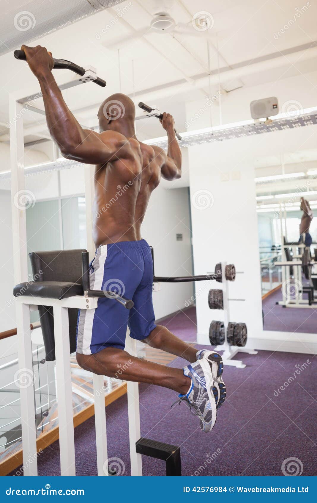 Male Body Builder Doing Pull Ups at the Gym Stock Photo - Image of ...