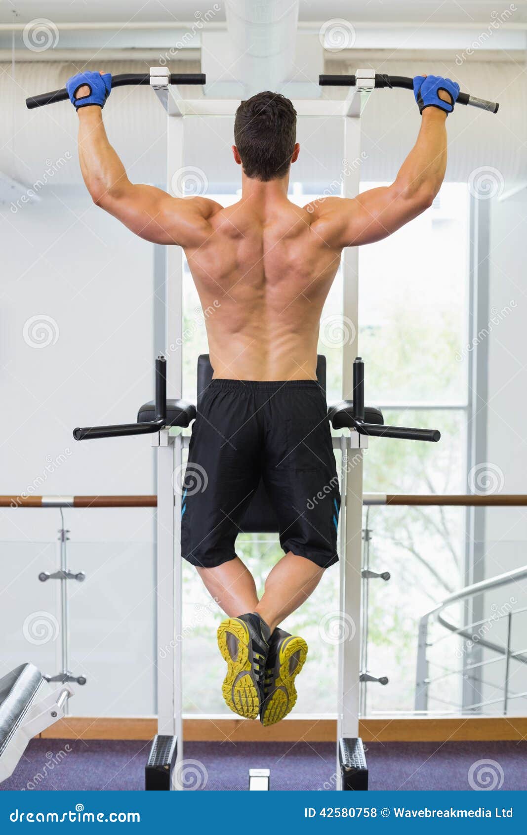 Male Body Builder Doing Pull Ups at the Gym Stock Photo - Image of rear ...