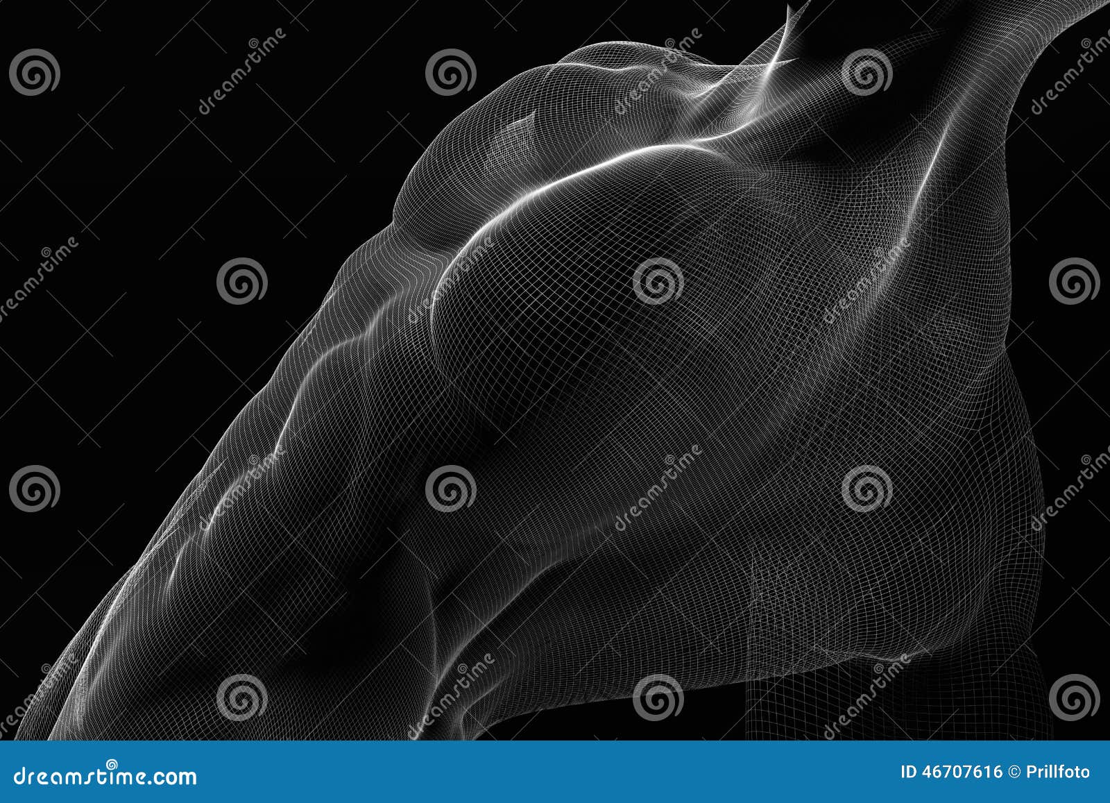 Male body mesh stock illustration. Illustration of power - 46707616