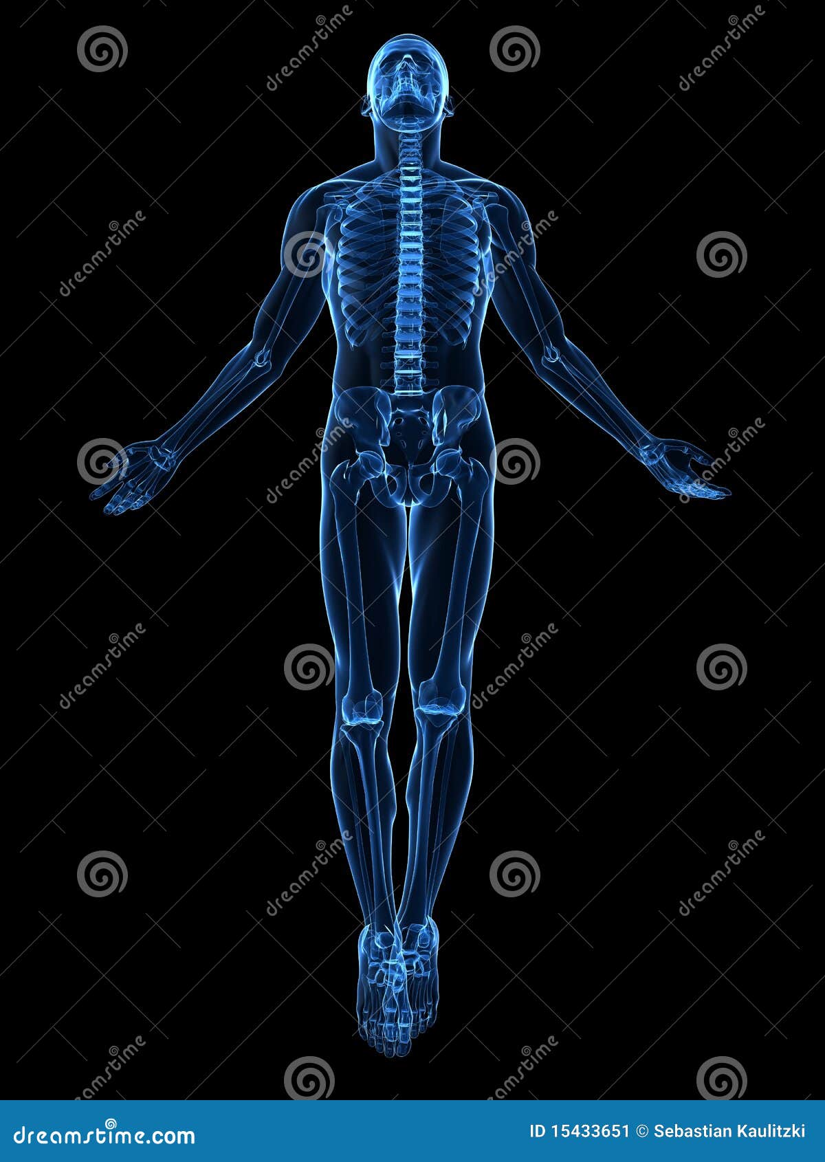 Male Body Rise Stock Image | CartoonDealer.com #15433651