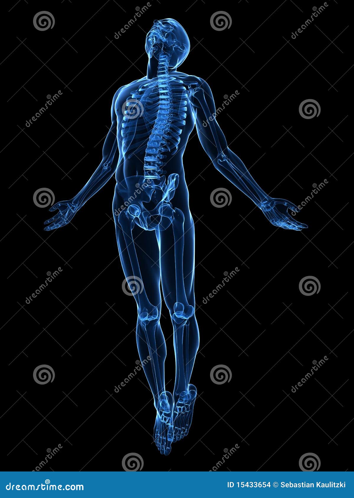 Male body rise stock illustration. Illustration of medical - 15433654