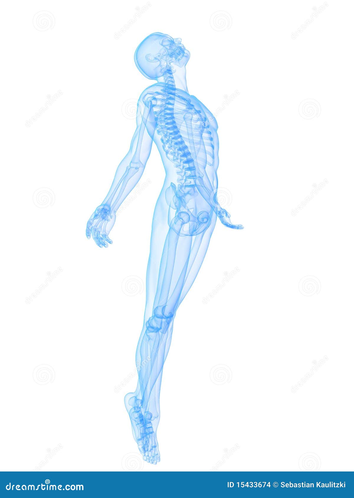 Male body rise stock illustration. Illustration of human - 15433674