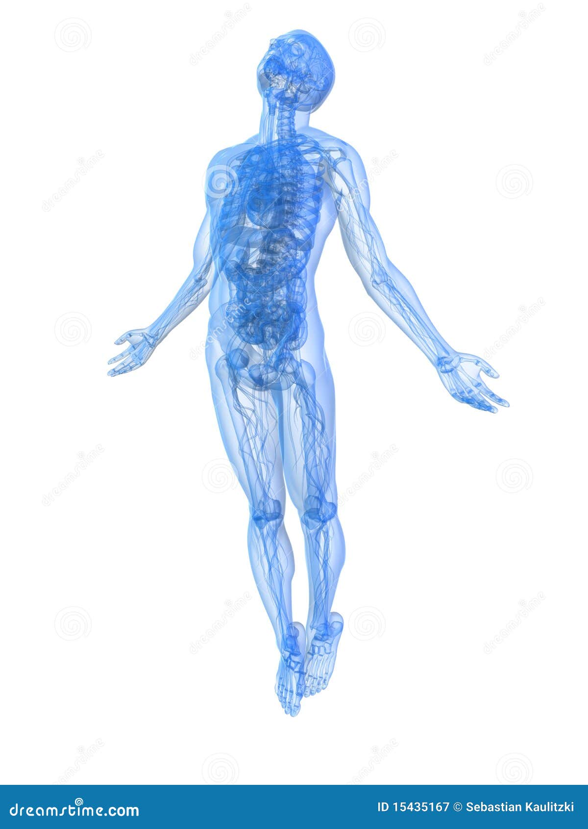 Male body rising stock illustration. Illustration of spread - 15435167