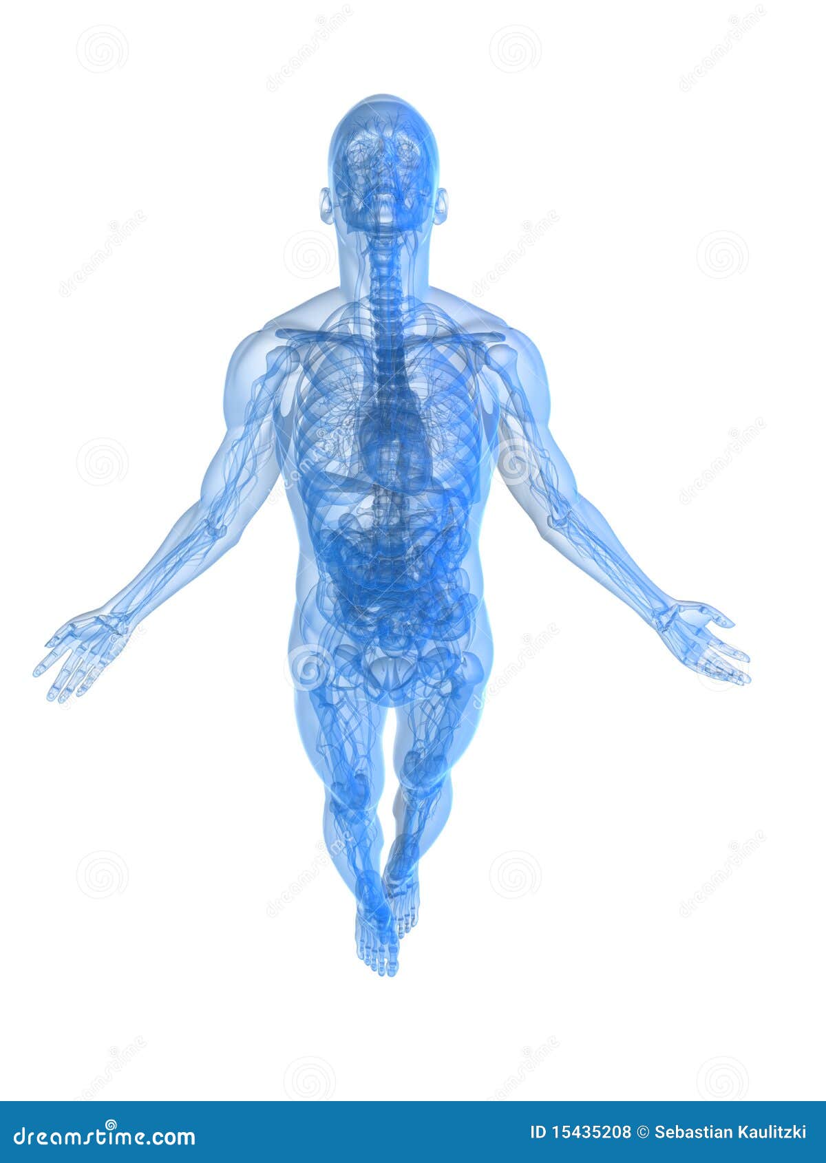 Male body rising stock illustration. Illustration of rise - 15435208