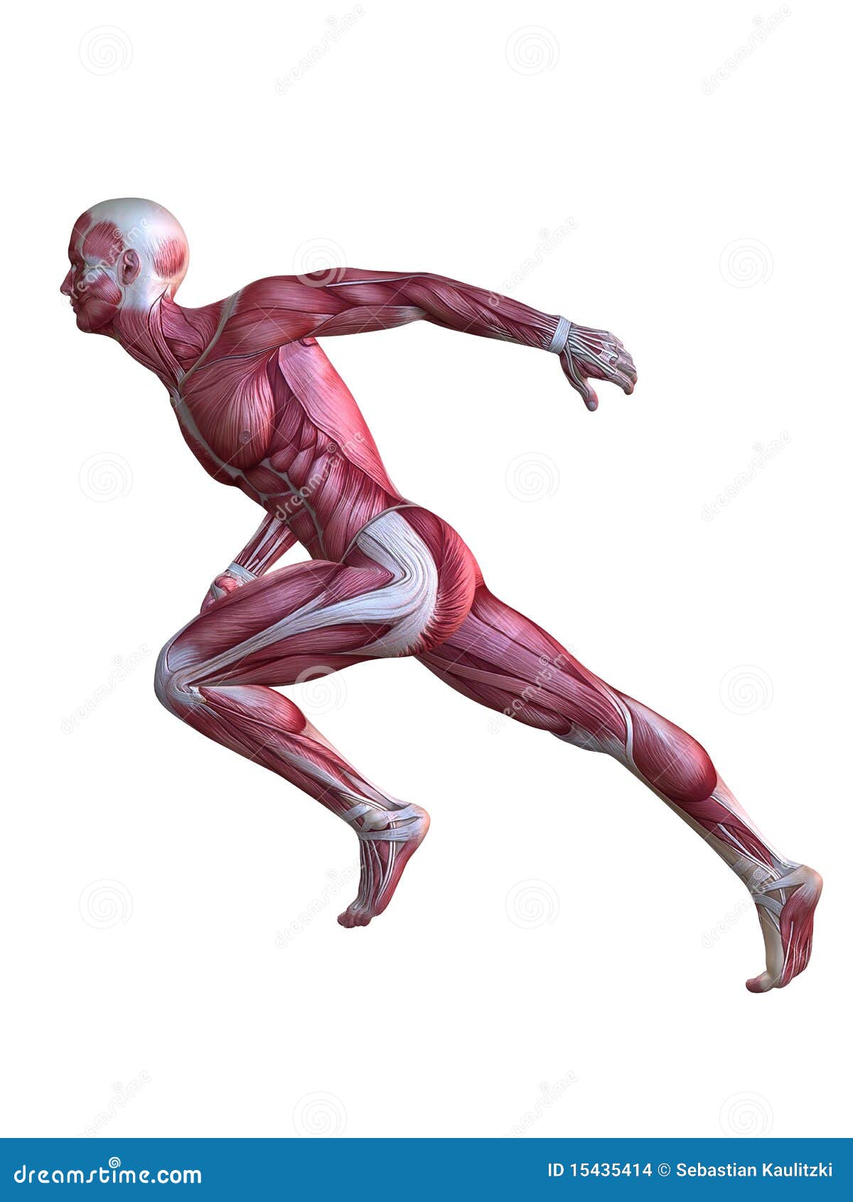 Rising Male Body Stock Illustrations – 95 Rising Male Body Stock ...