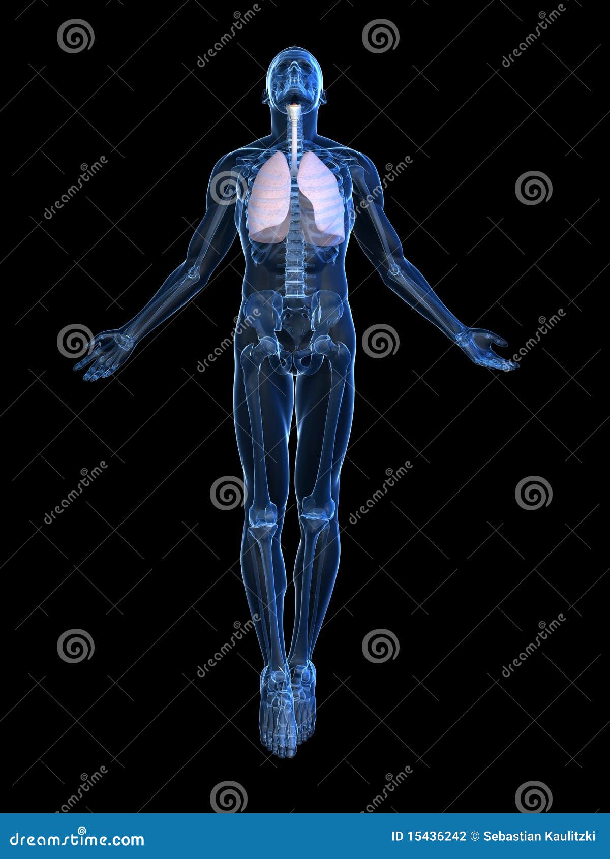 Male body rising stock illustration. Illustration of male - 15436242