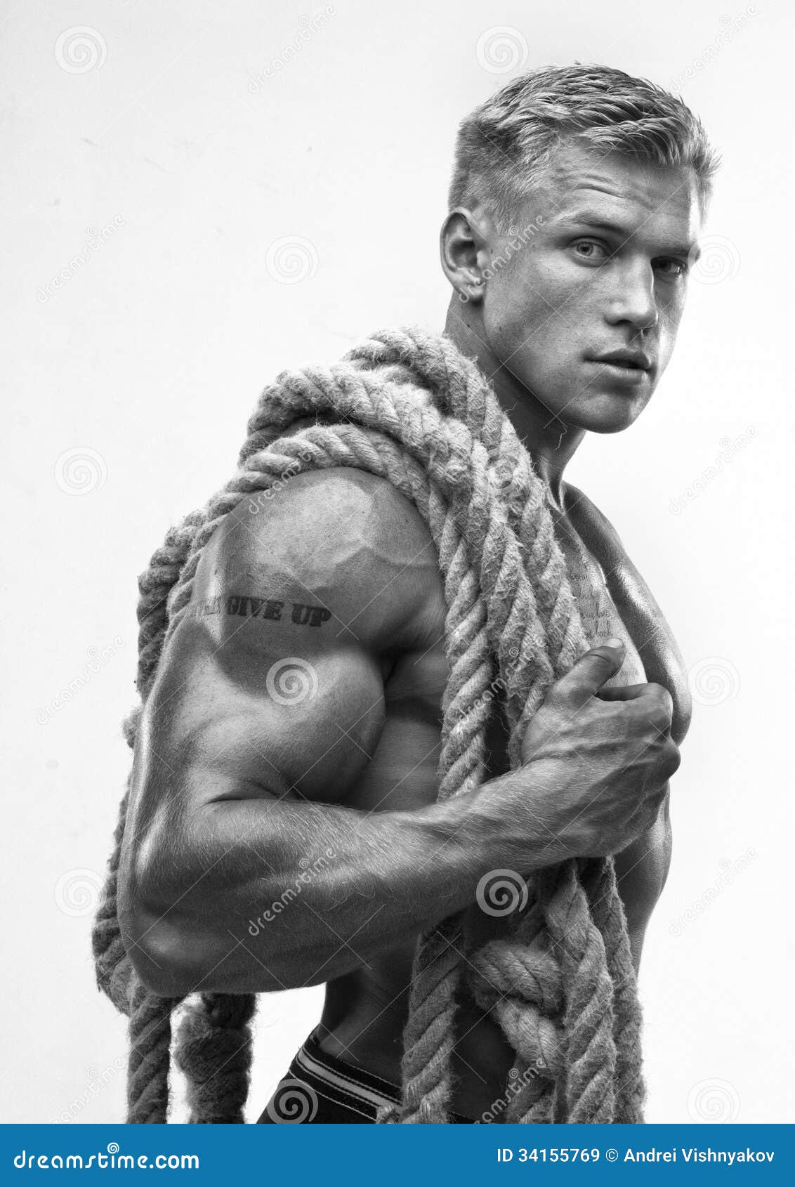 Male bodybuilder stock image. Image of muscular, male - 34155769
